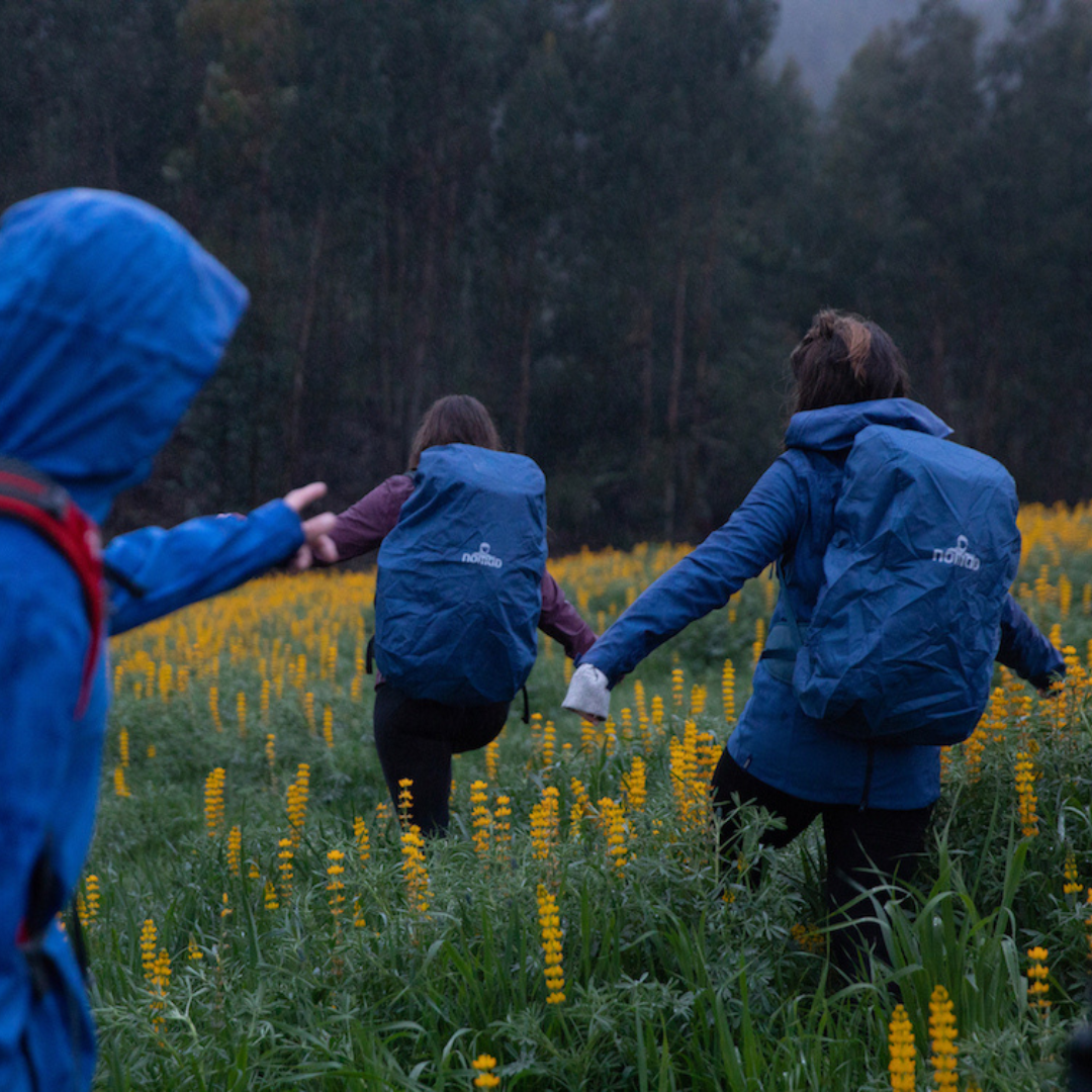 WHAT DOES THE TERM “PFC-FREE” MEAN AND WHY IS IT IMPORTANT? – Nomad